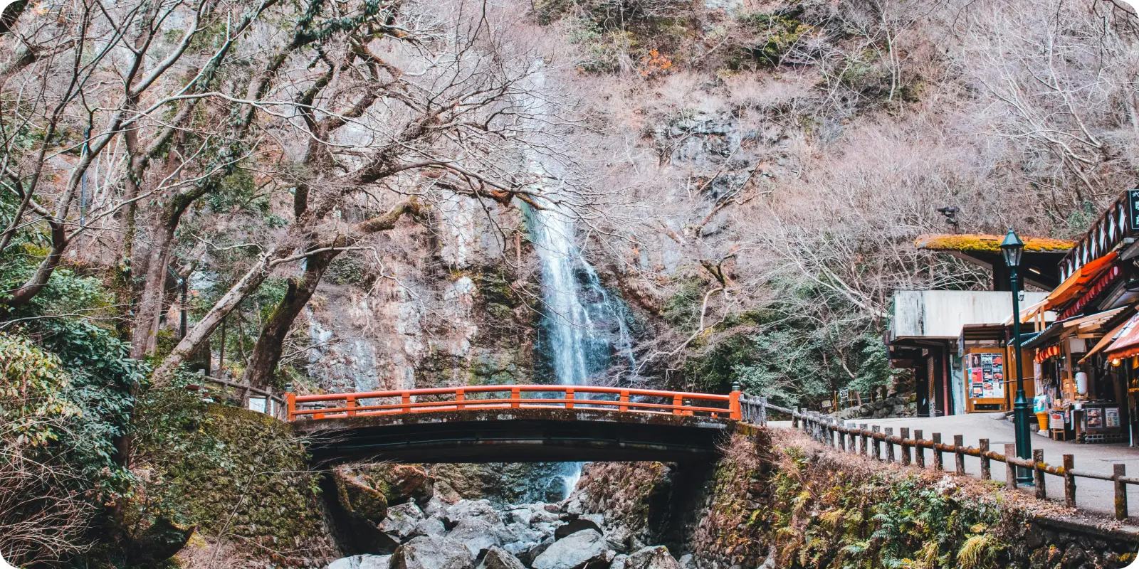 Japan Travel Guide: A Journey Beyond the Ordinary